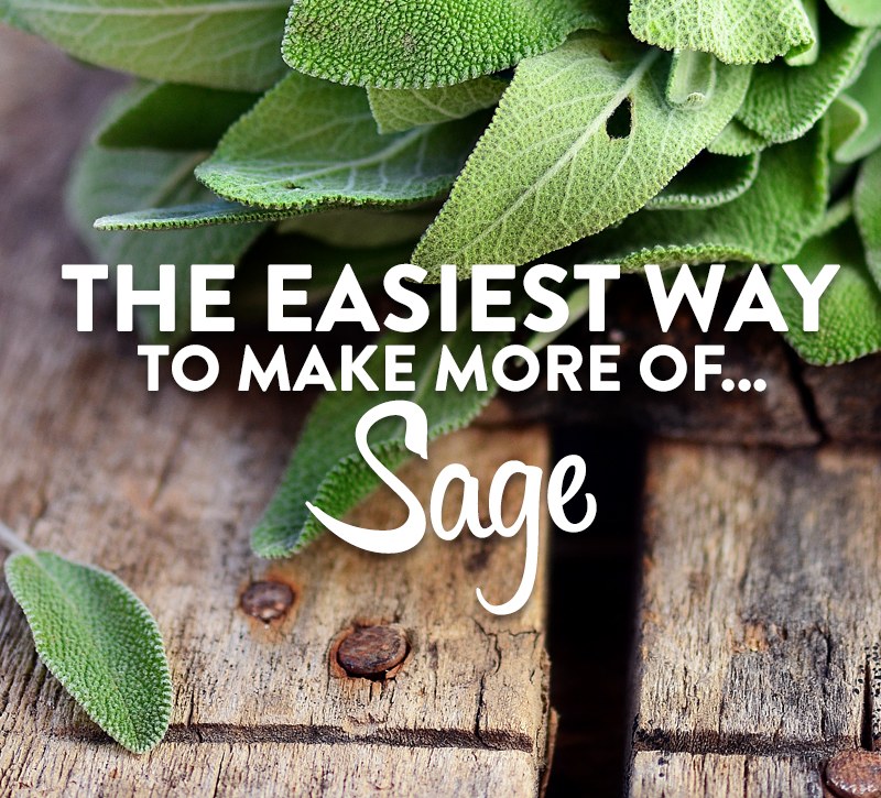 The easiest way to make more of sage | Vegetarian Cooking Blog | Veggie