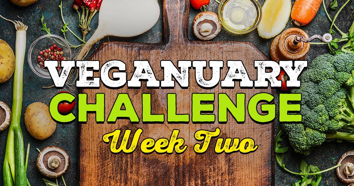 VEGANUARY CHALLENGE WEEK TWO | Vegetarian Cooking Blog | Veggie